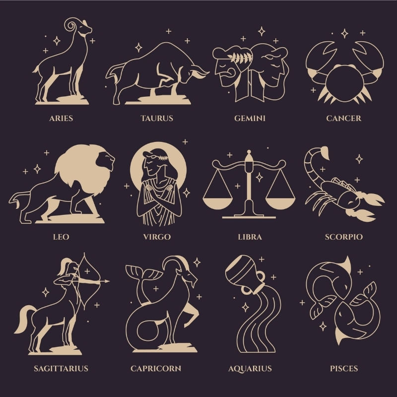 Daily Horoscope for zodiac signs: Astrological predictions for 23 Nov 2025