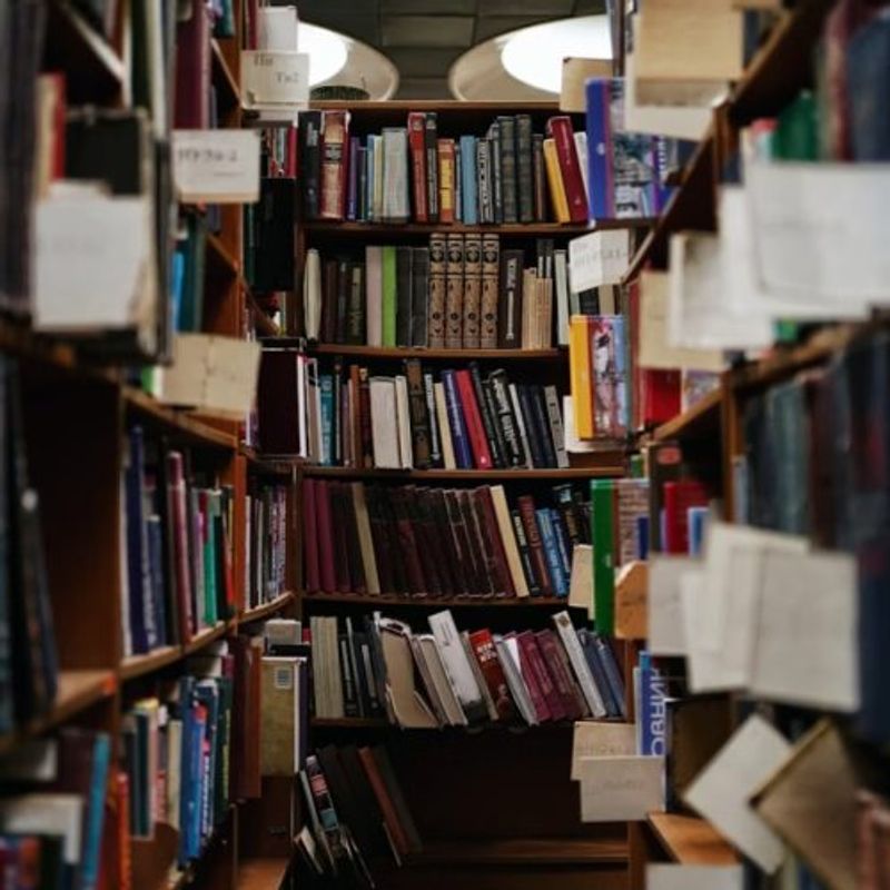 10 best classic books of all time: A journey through literature
