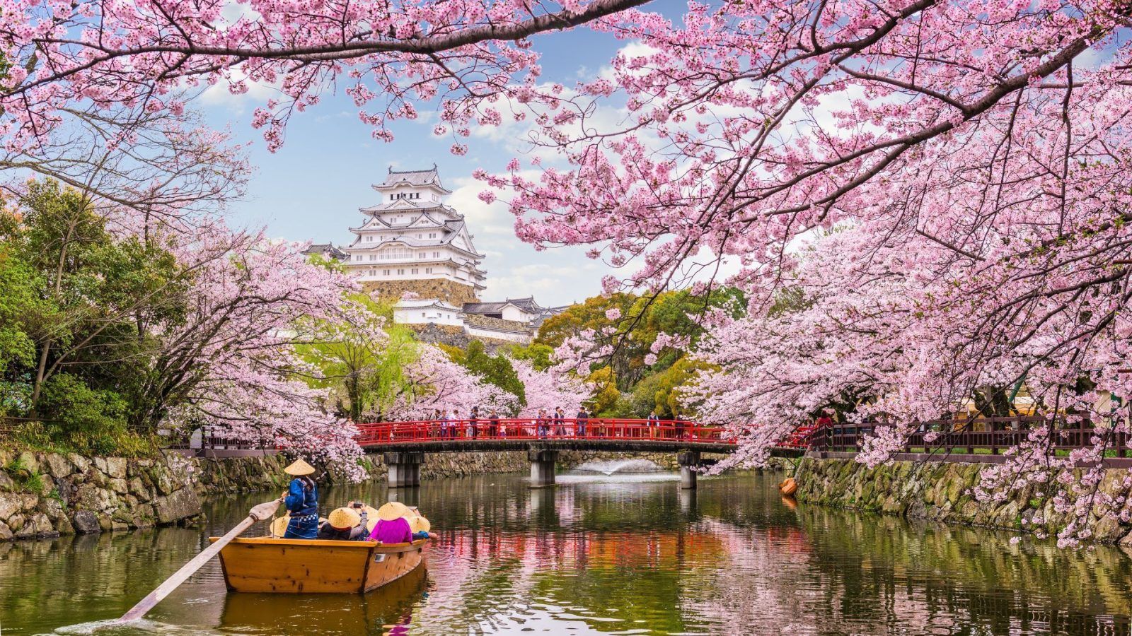 Japan cherry blossom forecast 2026: Check out the bloom dates | LSA IND