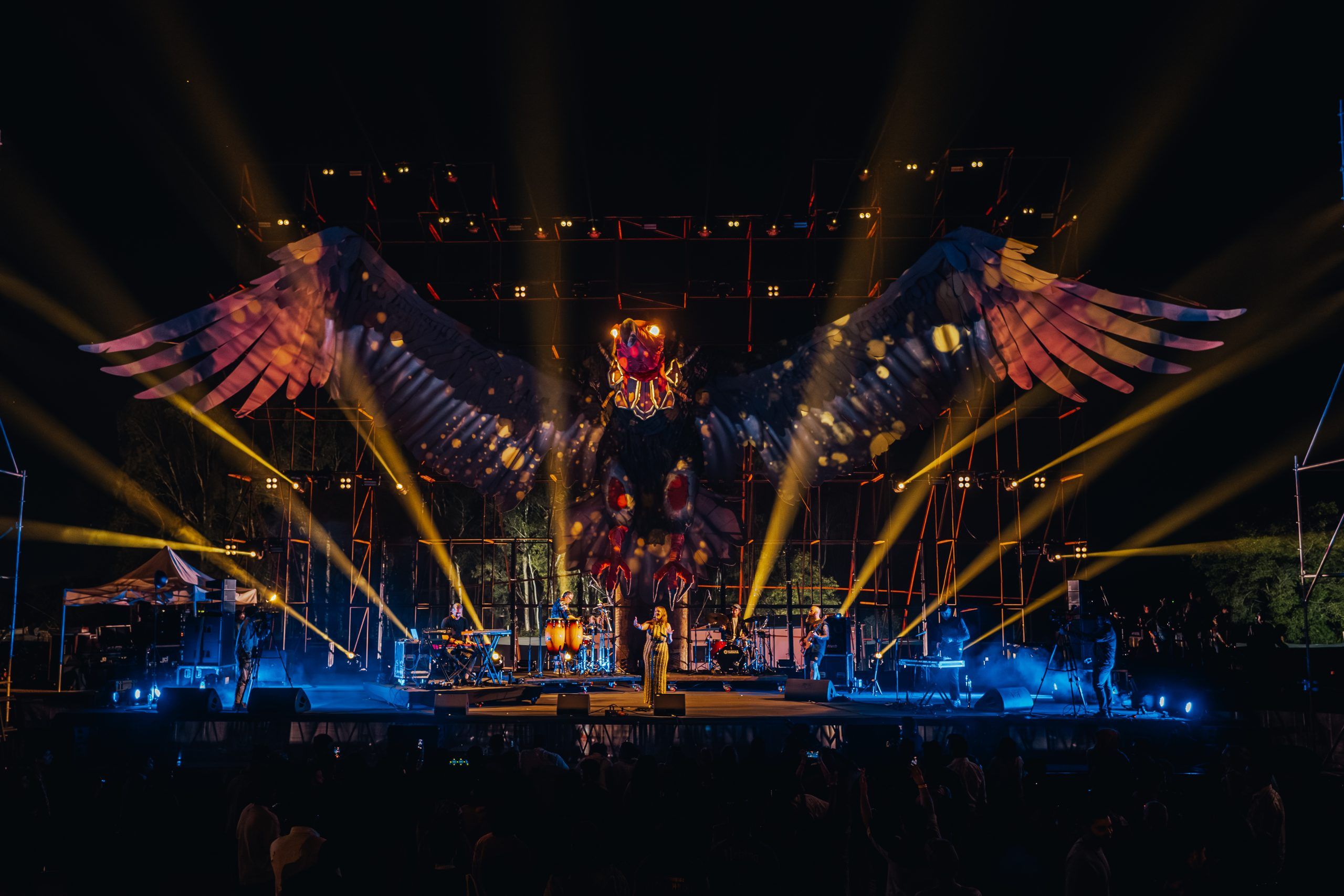 THE 2026 Guide to Music Concerts and Music Festivals in India