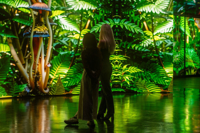 2026 Cultural Calendar : Must-Attend Festivals & Events