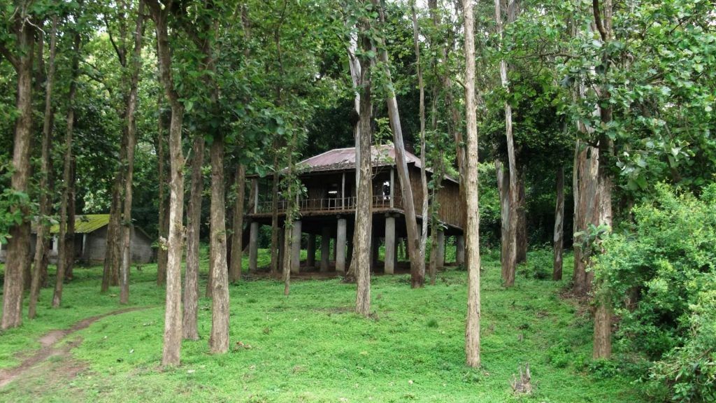 Inside Topslip: A wild getaway in Anamalai Tiger Reserve | LSA India