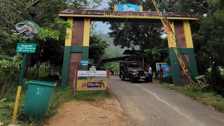 Inside Topslip: A wild getaway in Anamalai Tiger Reserve | LSA India