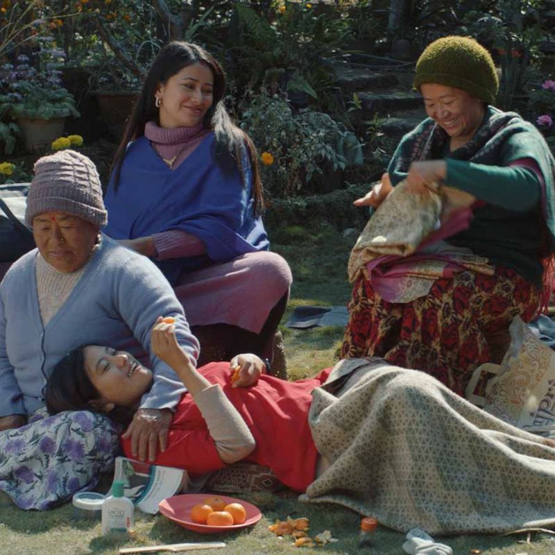 ‘Shape of Momo’ and the absolution of elder daughter rage