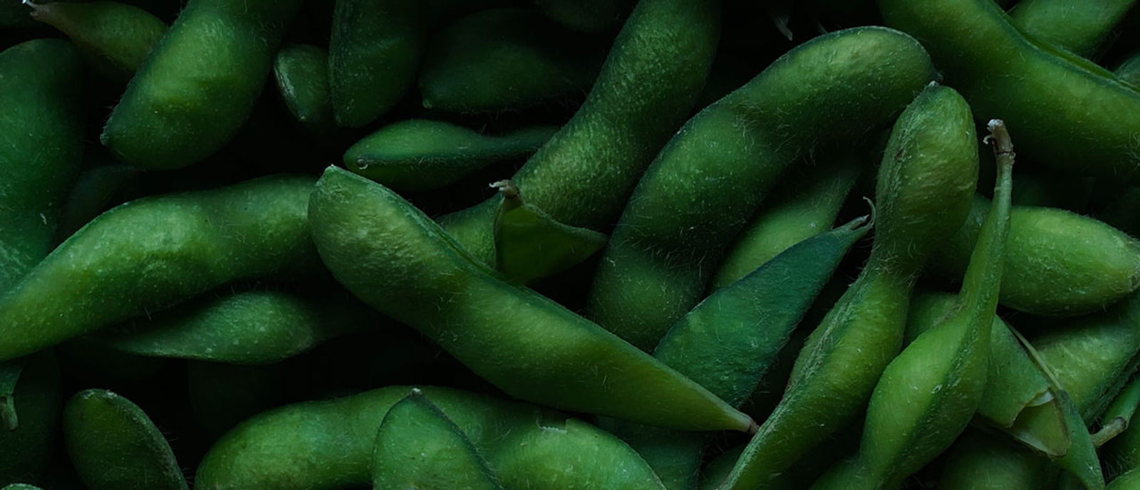 9 วิธีปรุง ถั่วแระญี่ปุ่น นอกจากการใช้เกลือ | Lifestyle Asia Thailand