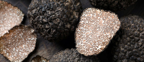 เห็ด Truffle 5 ผลิตภัณฑ์จาก Truffle แสนสะดวก แสนอร่อย