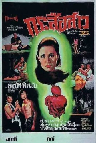 ผีกระสือ มีจริง ตามหลักวิทยาศาสตร์แล้วจะมีชีวิตอยู่ได้จริงหรือ?