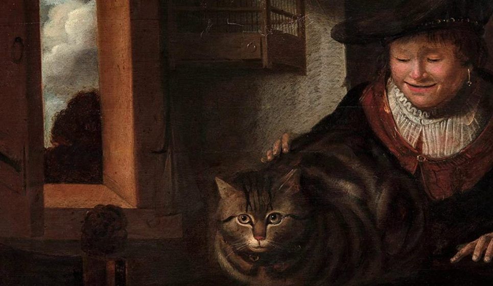 inside the mind of a cat สารคดีน่าดูสำหรับทาสแมวใน Netflix