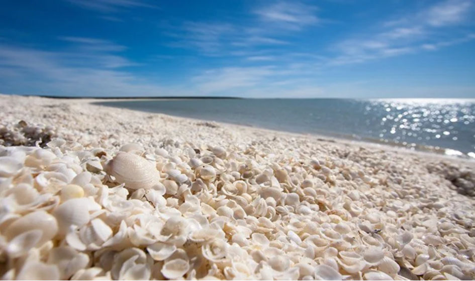 หยิบแว่นตา ผ้าเช็ดตัว ทาครีมกันแดด เที่ยวชายหาด สุดแปลกจากทั่วโลก