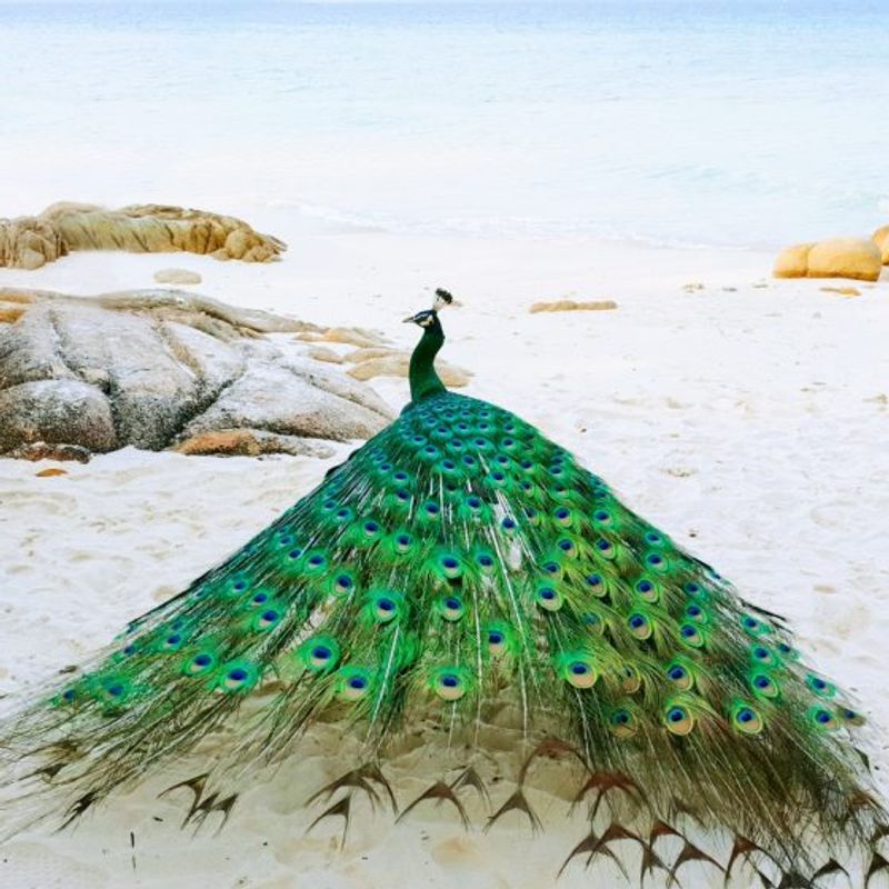 10 เกาะน่าเที่ยว สำหรับสาย introvert