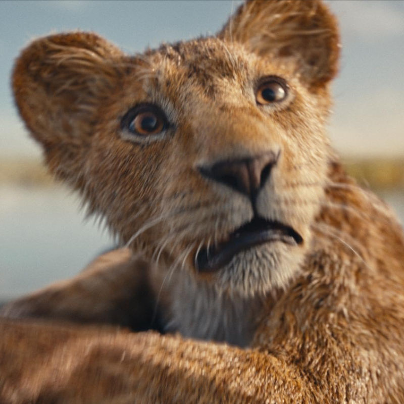 รีวิว Mufasa: The Lion King เล่าขานตำนานแห่งเจ้าป่า สู่จุดเริ่มต้นของ ...