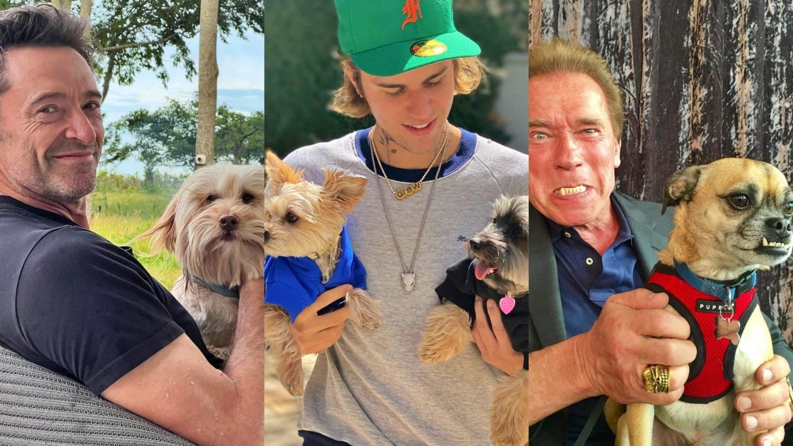 Dog Dad เขาว่าผู้ชายรักสัตว์เป็นคนอ่อนโยนกับพ่อไมโครเวฟ 7 คนนี้