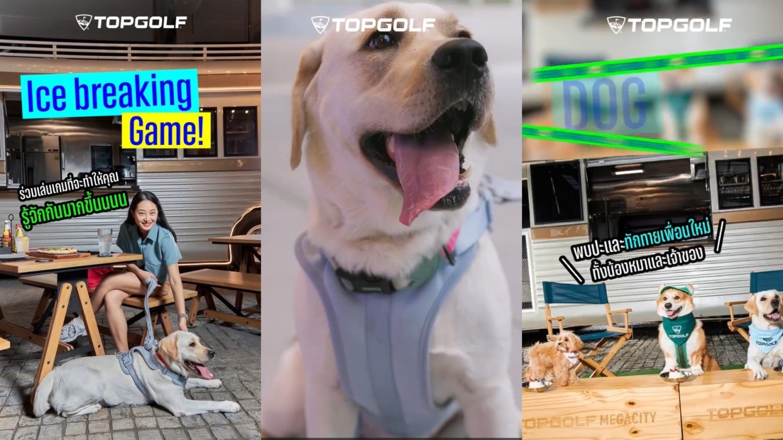 ท็อปกอล์ฟ เมกาซิตี้ กับกิจกรรมสุดพิเศษสำหรับคนรักสัตว์เลี้ยง “Pawfect Match”